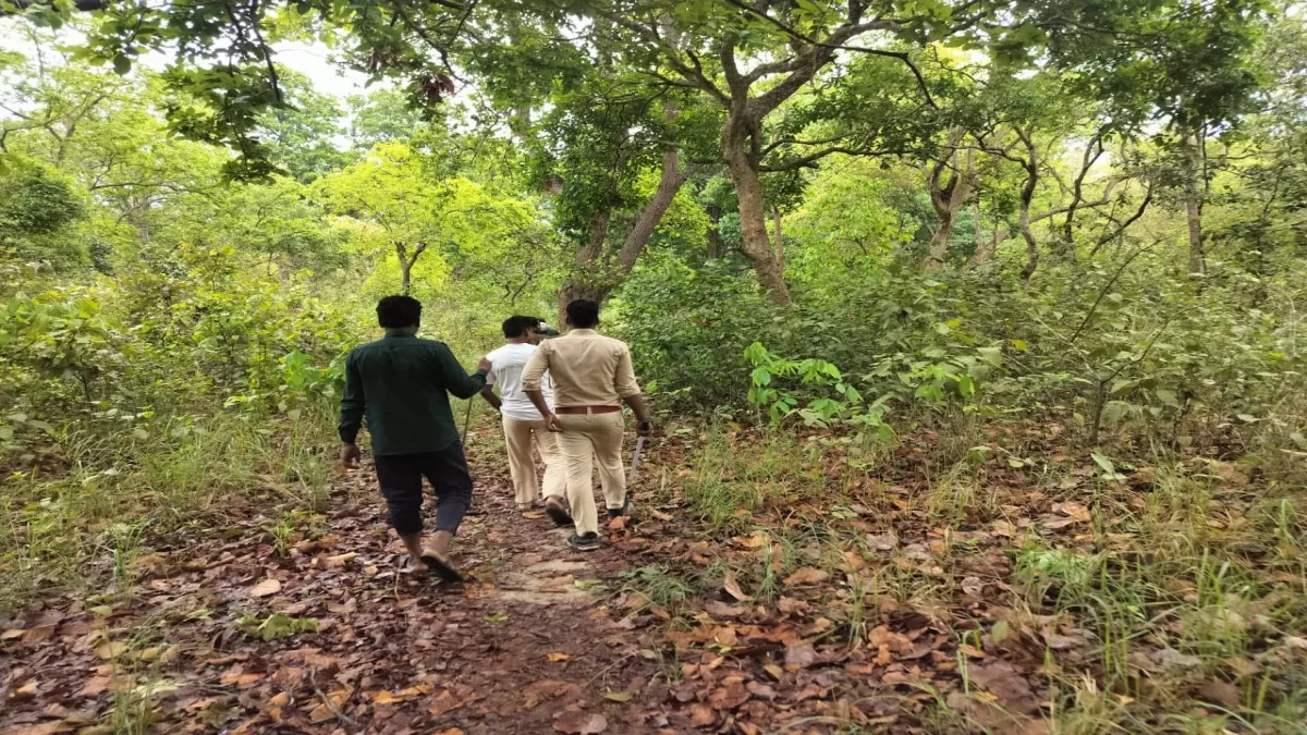 Bihar News: VTR में बाघ-बाघिन की लड़ाई में बाघिन की मौत, शरीर पर मिले कई जख्मों के निशान - VTR ...