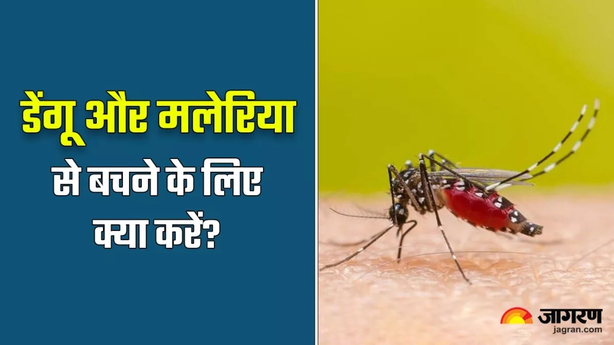 Dengue Malaria: दिल्ली में फिर बढ़ रहे डेंगू और मलेरिया के मामले, जानें इनके लक्षणों में क्या है ...