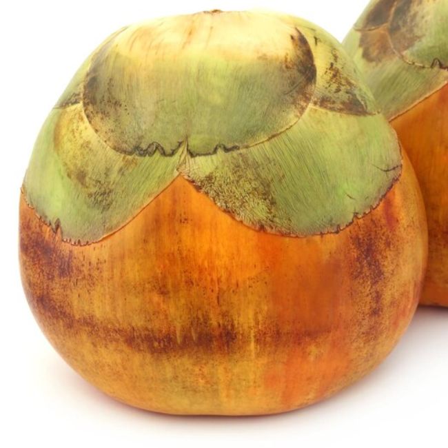 गर्मियों में Ice Apple खाने से मिलते हैं गजब के फायदे, स्किन से लेकर ...