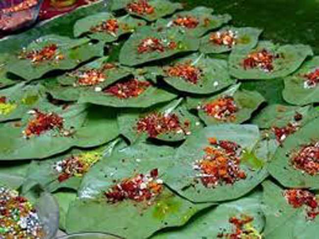 Paan Ka Mahatva : पूजा में पान के पत्ते का क्यों करते हैं प्रयोग? जानें ...