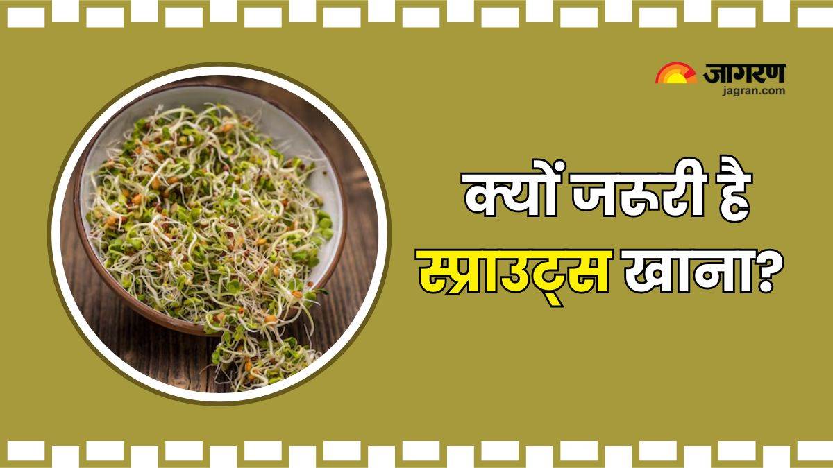 पोषण का पावर हाउस हैं Sprouts, जानिए क्यों डाइट में शामिल करना है जरूरी ...