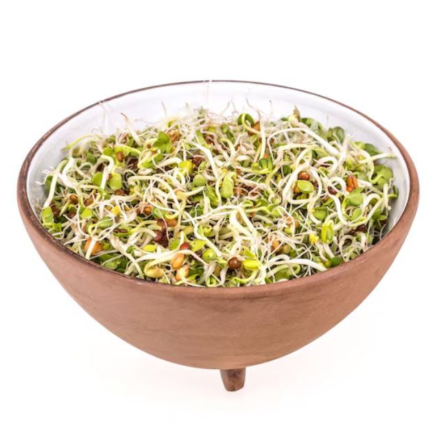 पोषण का पावर हाउस हैं Sprouts, जानिए क्यों डाइट में शामिल करना है जरूरी ...