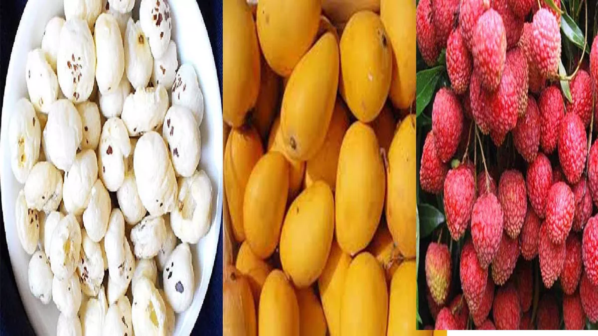 मिथिला मखाना के साथ बिहार के पांचवें कृषि उत्पाद को मिला जीआइ टैग, अब ...