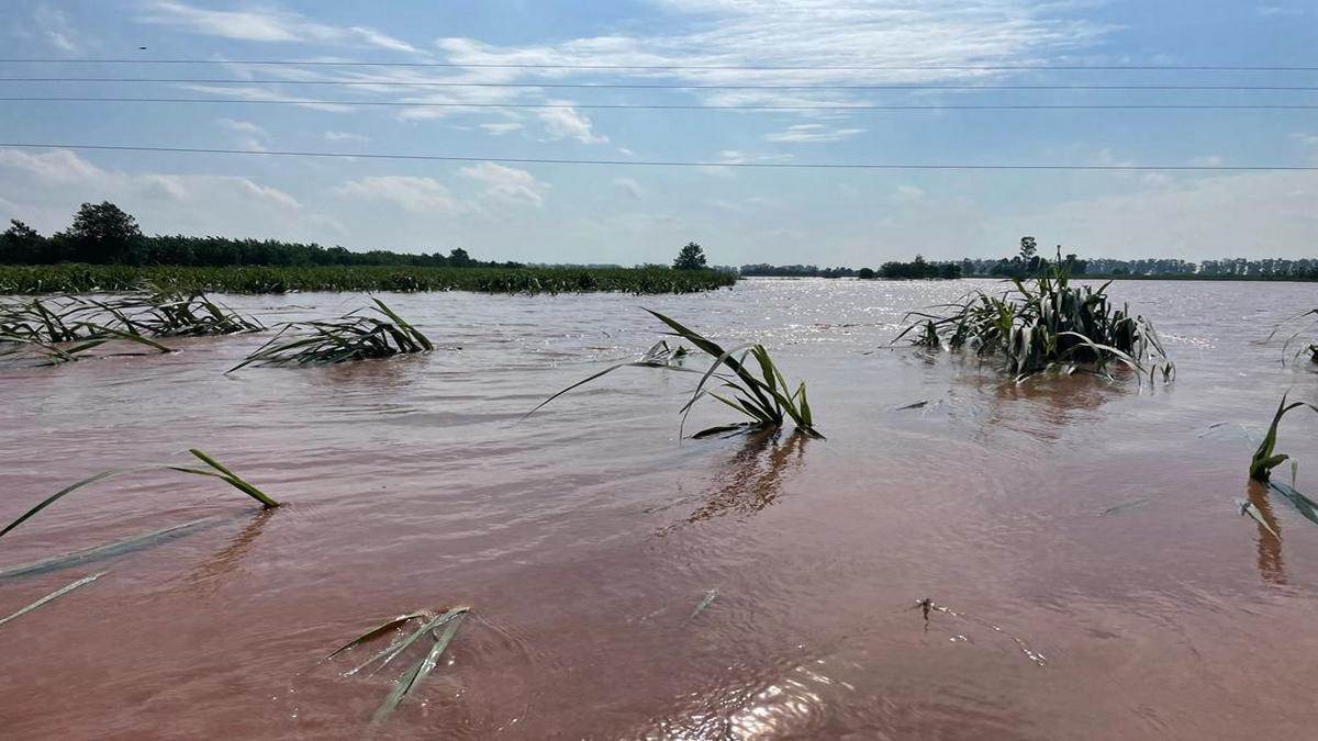 Ravi River: पाकिस्‍तान अब लड़ रहा पानी की जंग, स्‍टड व पत्‍थर लगाकर ...