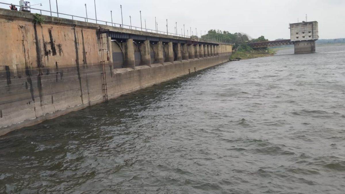 Jharkhand News: झमाझम बारिश के बावजूद प्यासे हैं झारखंड के तिलैया व ...