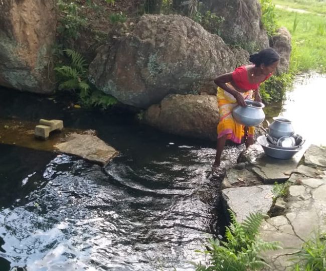झारखंड के लोहरदगा में गांव के लोगों के लिए वरदान है यह पेड़; जड़ से ...