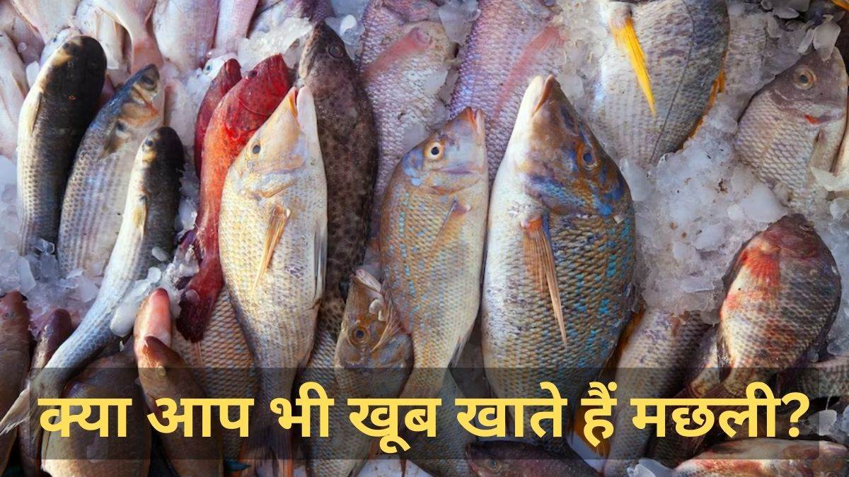 Dangerous Fish: क्या आप भी हैं मछली खाने के शौकीन, तो जानें कौन-सी ...