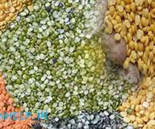 सिमटता जा रहा दलहन की खेती का रकवा जानिए क्‍या है कारण - Pulses ...