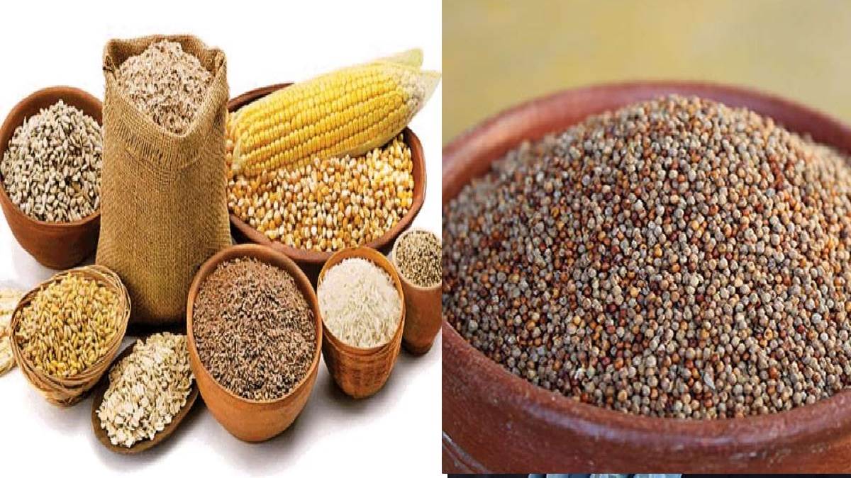 मोदी सरकार के राज में मोटे अनाज लौटे अच्छे दिन, आम से खास लोगों तक ...