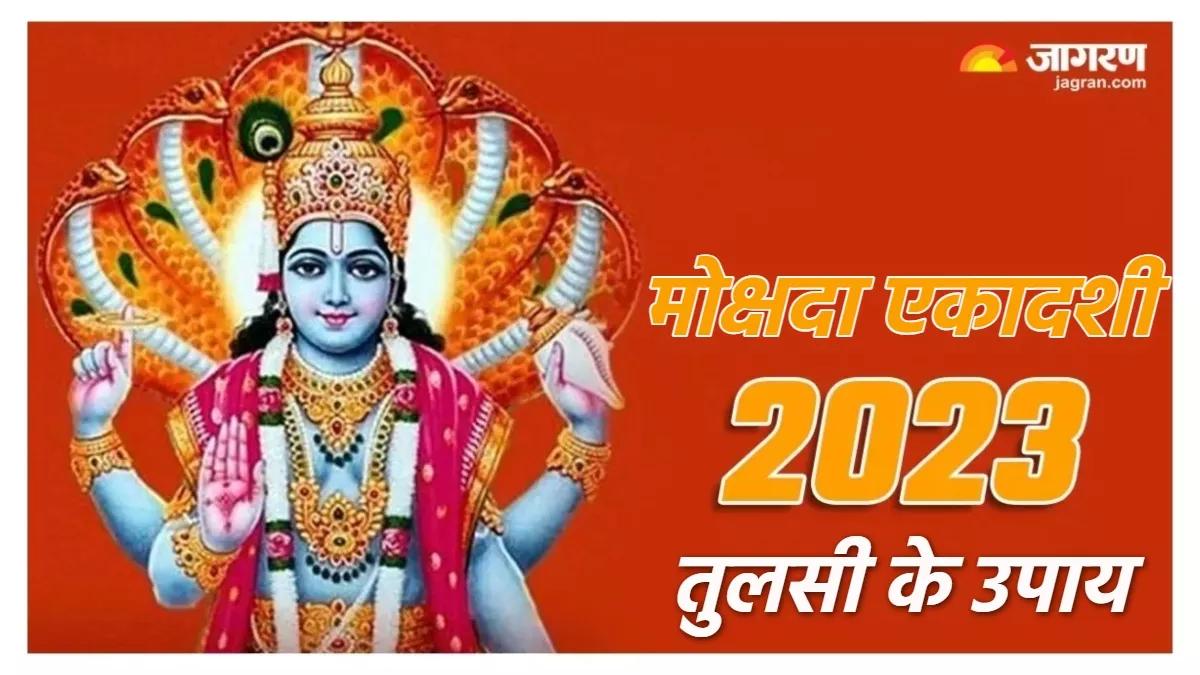 Mokshada Ekadashi 2023: मोक्षदा एकादशी आज, तुलसी से जुड़े ये उपाय ... Mokshada Ekadashi 2023: मोक्षदा एकादशी आज, तुलसी से जुड़े ये उपाय ...