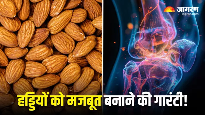 हड्डियों में कूट-कूट कर कैल्शियम भर देगा बादाम, बस नोट कर लीजिए इसे ...