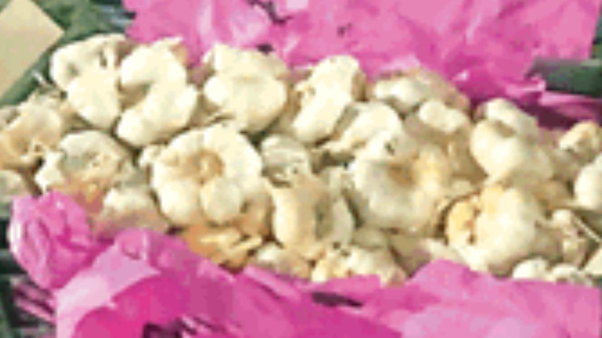 Himachal Pradesh News: सोलन सब्जी मंडी में पहुंचा ईरान का लहसुन, 150 ...