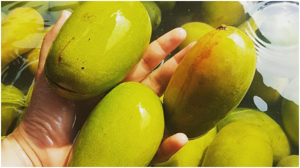 Indian Mango Destinations: भारत के इन 8 शहरों में मिलता है दुनिया का ...