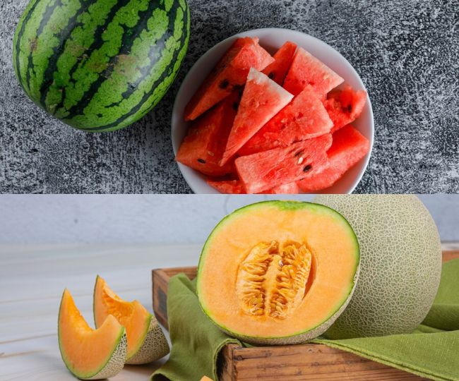 Watermelon vs Muskmelon: तरबूज खाएं या खरबूजा, गर्मियों में सेहत के लिए ...