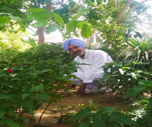 ऑक्सीजन है अनमोल : सिरसा में सुरेंद्र सिंह ने घर आंगन ही नहीं पार्क में ...