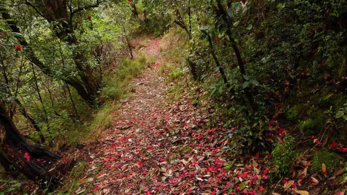 उत्‍तराखंड : जबरखेत और गडोली-मंडा बने जैव विविधता संरक्षण की मिसाल ...