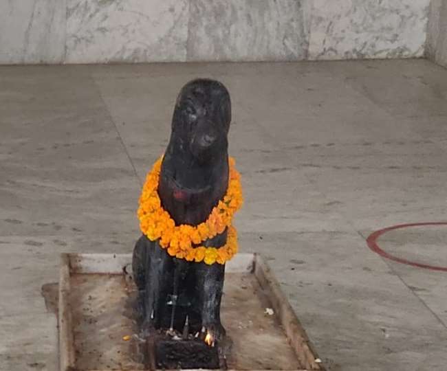 Dog Temples In India: खूब देखे होंगे देवी-देवताओं के मंदिर, लेकिन इन ...