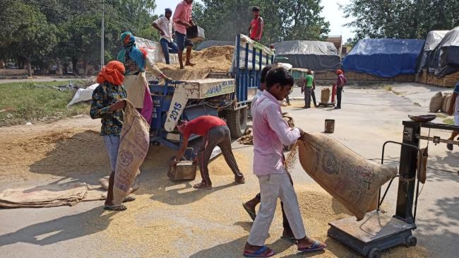 धान बेचने में छूटेंगे पसीने, मंडी में एंट्री से पहले लेना होगा गेट पास ...
