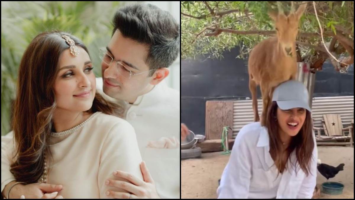 बहन Parineeti Chopra की शादी में शामिल न होकर बकरियों से खेलती दिखीं ...