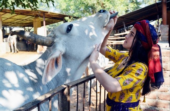 प्रथम गोचारन कौ दिन आज, गाय चरावन कौ दिन आयौ - First day of cow, today ...
