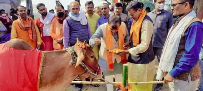 गोमाता की सेवा से बढ़कर कोई सेवा नहीं : मंत्री - service to cow most ...