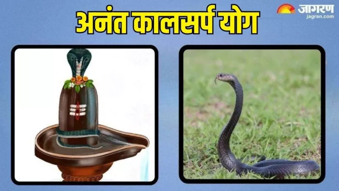 Anant Kaal Sarp Yog: कब और कैसे लगता है अनंत कालसर्प योग? इन उपायों से ...