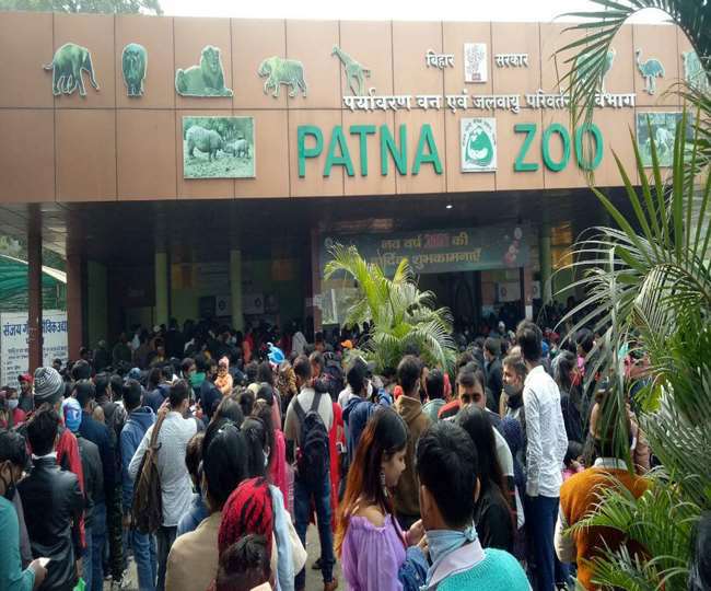 पटना जू में 20 हजार में कबूतर व डेढ़ लाख रुपये में हाथी को लीजिए गोद ...