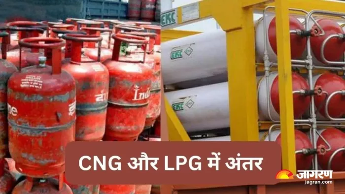 CNG और LPG गैस में क्या होता है अंतर, आखिर क्यों कुकिंग के लिए इस्तेमाल ...
