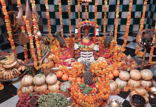फलों से हुआ महादेव का श्रृंगार, देर रात तक दर्शन पूजन - Mahadev was ...
