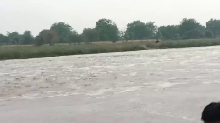 Chatra News: 40 वर्षों बाद मोरहर नदी में बाढ़, तीन घंटे की बारिश ने बदल ...