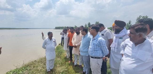 गंगा का बहाव कर रहा कटान..धान की फसल जलमग्न - Harvesting the river ...