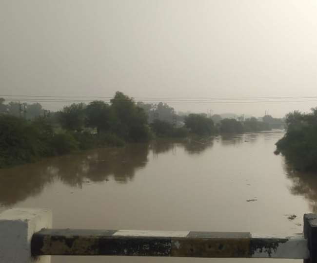 Alert! घग्गर नदी में जलस्तर बढ़ा, सिरसा में फसलों तक पहुंचा पानी, यह है ...