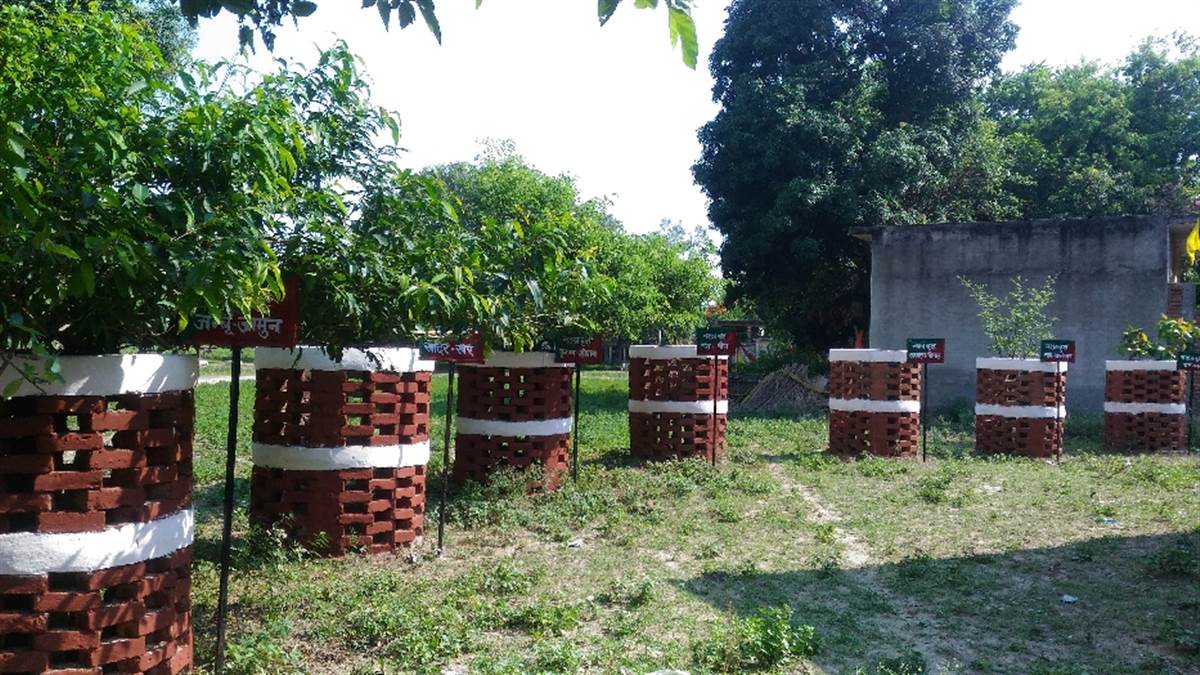 नैमिषारण्य में बनेगी हरिशंकरी, पंचवटी और नवग्रह वाटिका - Harishankari ...