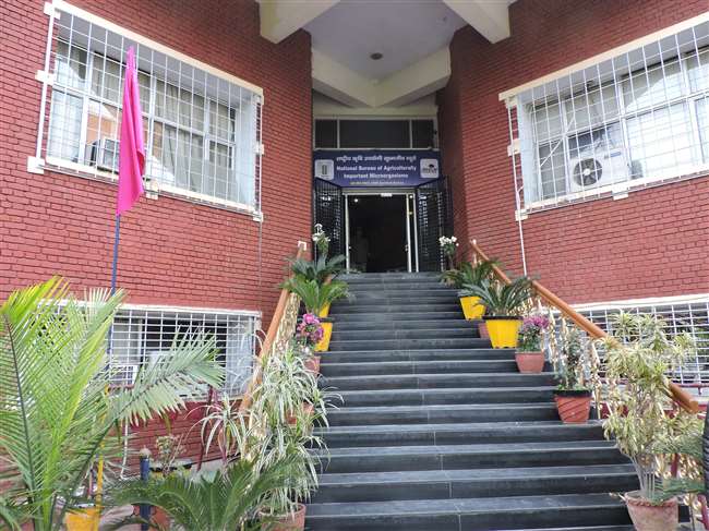 मिशन पोषण सुरक्षा : जंगलों में निवास करने वाले वनवासियों को खेती की ...