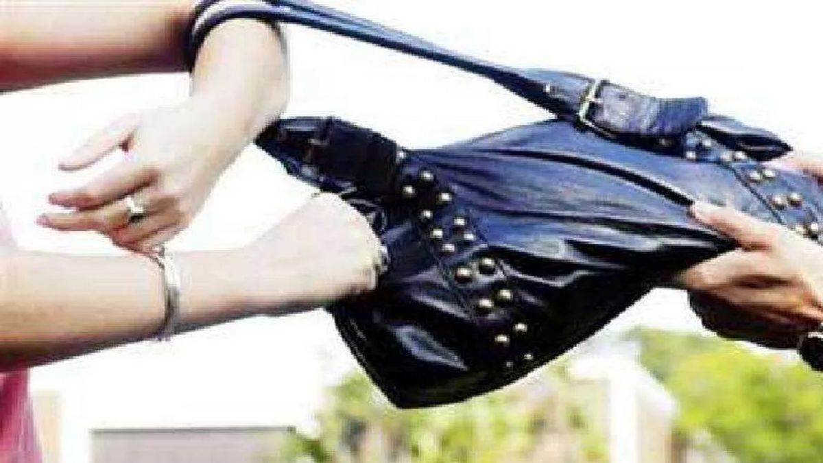 लुधियाना में पर्स झपटने आए 2 बदमाशों से भिड़ी महिला टीचर, बाइक से ...