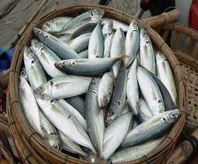 यहां की ताजी नहीं, सूखी मछलियों की बंगाल तक रहती है मांग, जानिए क्‍या ...