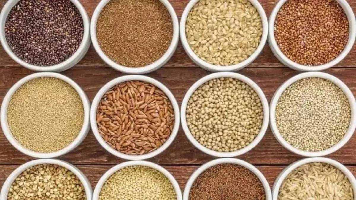 मोटा अनाज भी बन सकता है राजनीति का बारीक हथियार, कर्नाटक में रागी की ...