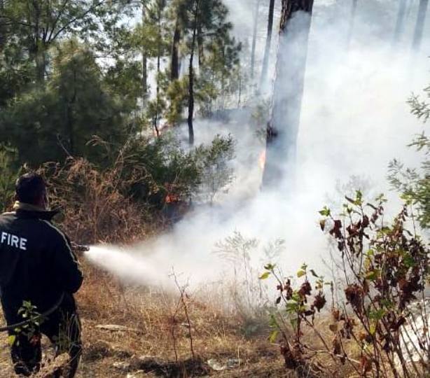 घुरसों गांव के जंगल में लगी आग - Fire in the forest of Ghurson village ...