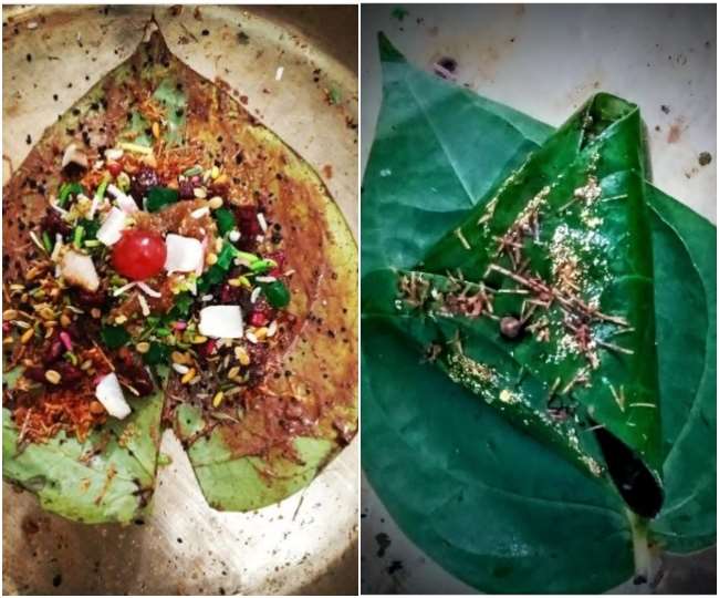 Paan Benefits In Summers: गर्मियों में इस तरह खाएं पान और जानें इसके ...