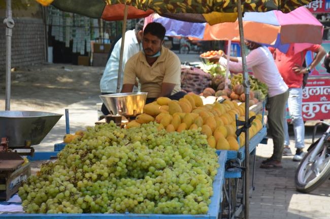 हिसार में फल-सब्जियों की पर्याप्त आवक, दाम भी आम - There is an adequate ...