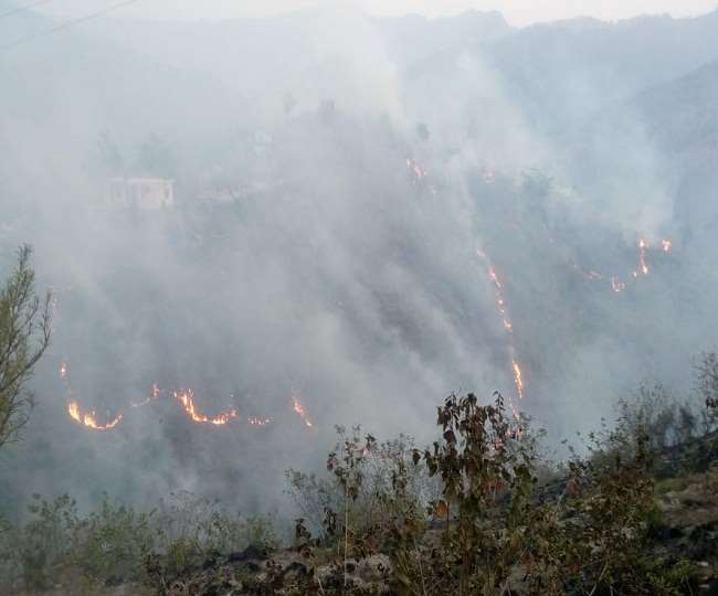 अल्मोड़ा के जंगलों में भीषण आग, 17 जगहों पर भारी नुकसान, 504 हेक्टेयर ...
