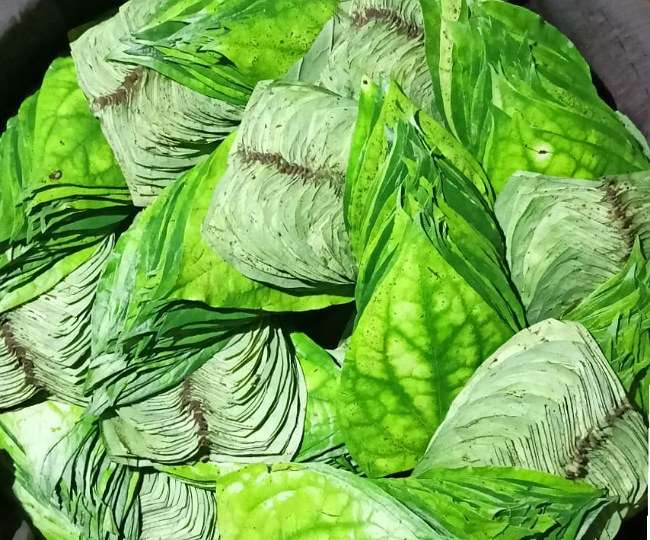 मगध की शान है पकरीबरावां का इंटरनेशनल “मगही पान”, विदेशों में भी है ...