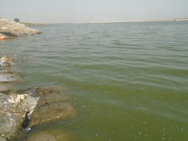 गंगा नदी के जलस्तर में उफान, बाढ़ के बने हालात - The rise in the water ...