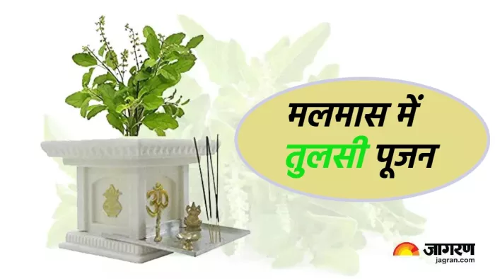 Malmaas 2023: अधिकमास में इस तरह करें तुलसी जी की पूजा, प्रसन्न होंगे ...