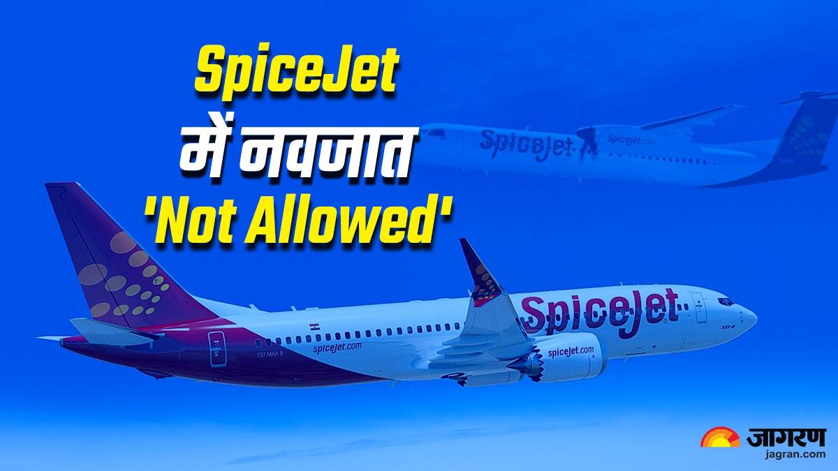 SpiceJet ने नवजात के साथ सफर से रोका, दंपती ने कराए थे तीन टिकट; 33 हजार देकर दरभंगा से कार में ...