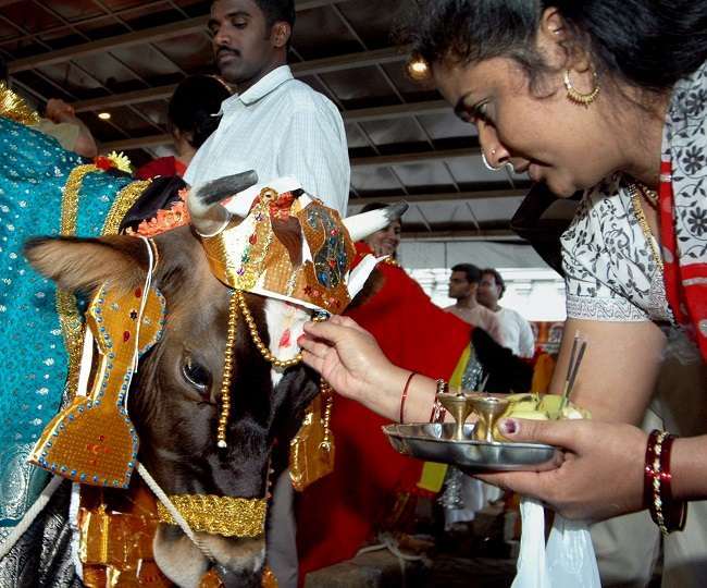 Bahula Chaturthi 2021: संतान प्राप्ति के लिए आज रखें बहुला चतुर्थी व्रत ...