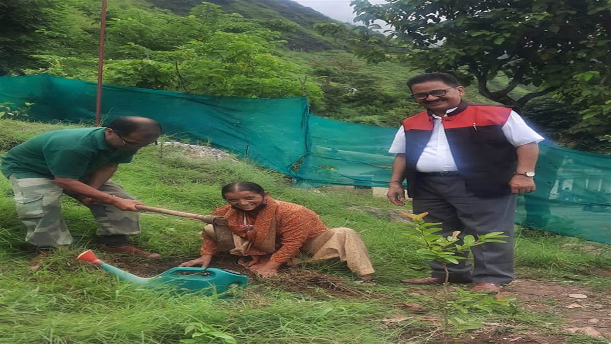 इफको के सौजन्य से खती गांव में हुआ वृदह पौधारोपण - Large tree ...