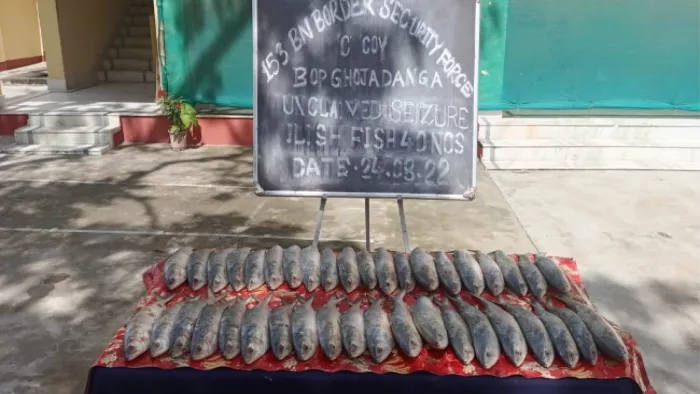 International Border : बीएसएफ ने बांग्लादेश से तस्करी की जा रही 32 किलो ...