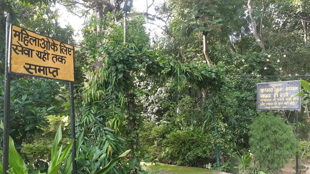 Bihar News: अरवल के इस वन क्षेत्र में महिलाओं का प्रवेश है मना, अंदर संत करते हैं ब्रह्मचर्य की ...