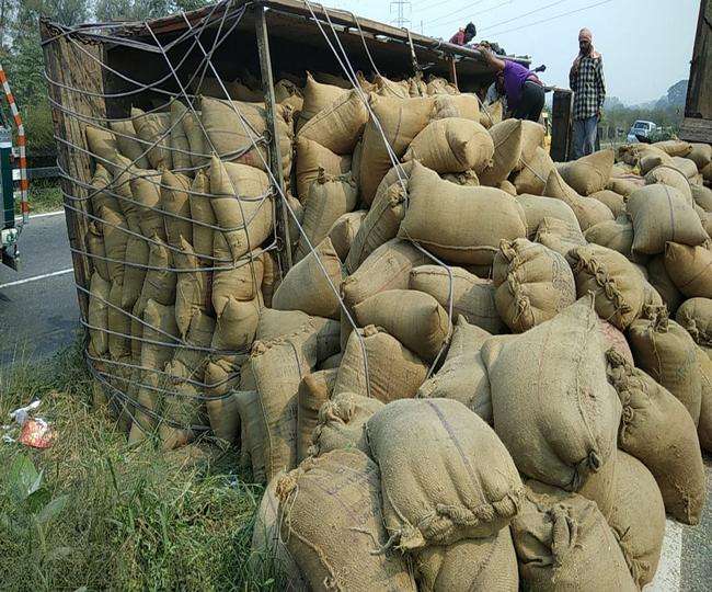 जालंधर-फगवाड़ा हाइवे पर पलटा धान से लदा ट्रक, सड़क पर बिखरी बोरियां ...